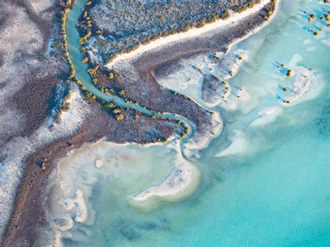 1 900 Shark Bay Photos Taleaux Et Images Libre De Droits Istock