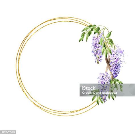 Carte De Fleurs De Glycine Illustration À Laquarelle Dessinée À La Main