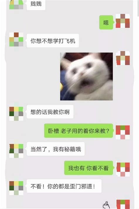女朋友交男朋友怎麼打飛機聊天記錄，網友：我還用的著你來教嗎？ 每日頭條