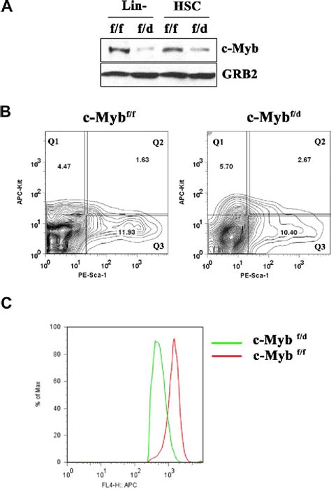 Figure 1 From Requirement Of C Myb For P210bcrabl Dependent