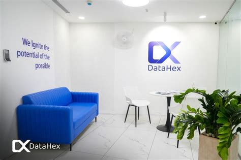 datahex on linkedin datahex