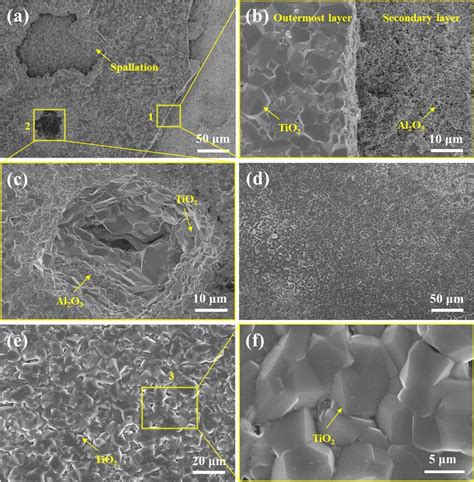 The Surface Morphologies Of Tial Xco X 0 1 3 Alloys After Download Scientific Diagram