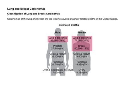 Oncology Primer Classification