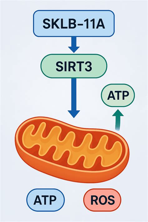 Gpcr Drug Discovery New Drugs New Targets And New Indications