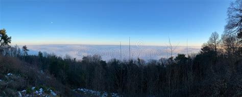 Forest Trees With Sunshine Fogg And Blue Sky Stock Image Image Of