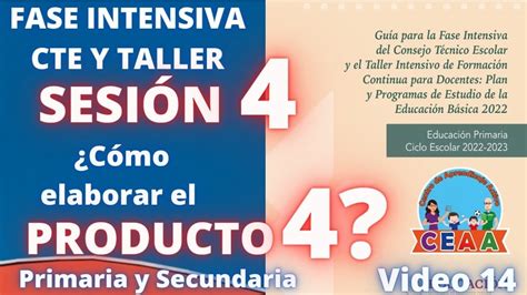Ceaa Producto Sesi N Fase Intensiva Cte Taller Intensivo