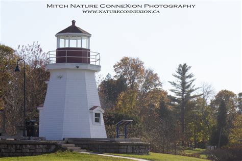 Lighthouse Renforth Nature Connexion