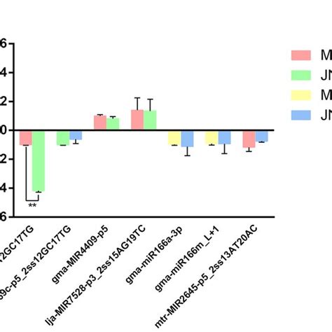 Validation Of The Expression Pattern Of Four Highly Expressed Circrnas