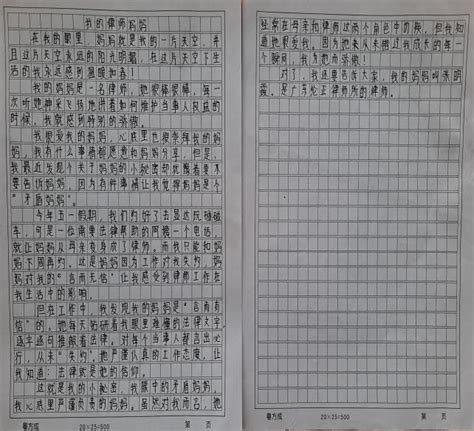 我的妈妈是律师 澎湃号政务 澎湃新闻 The Paper