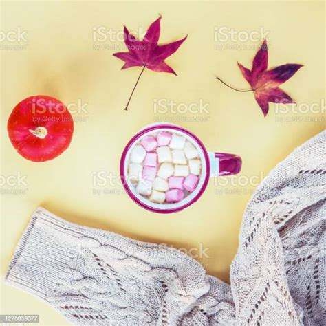마시멜로 니트 스웨터 호박과 단풍 나무 잎 가을 컨셉을 가진 코코아 한 컵 상단 보기 플랫 레이 10월에 대한 스톡 사진 및
