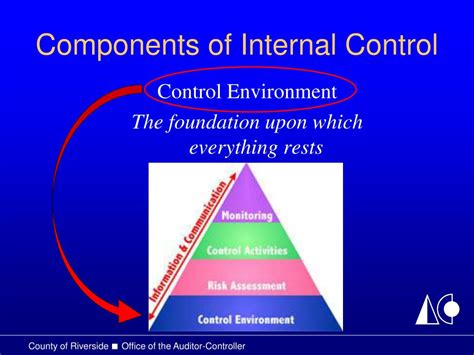 Parts Of Internal Control At Bobby Flores Blog