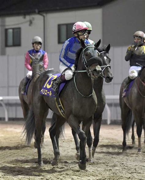 【2歳次走報】全日本2歳優駿3着のペリエールはヒヤシンスsへ サンスポzbat