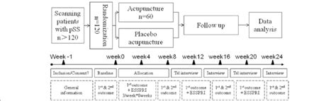 Trial Flow And Study Design General Information Age Sex Weight Time