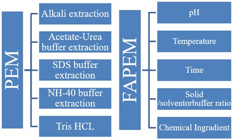 A Simplified Flow Chart Showing Methods Of Protein Extraction Pem And