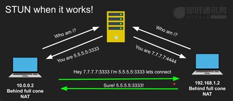 Webrtc Websocket