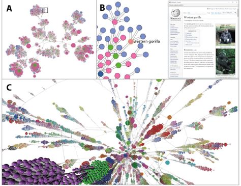 Visualisation Of Taxonomic Trees A Taxonomic Tree Of All Mammals