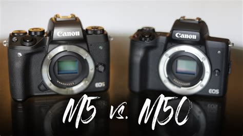Canon M5 Vs M50 Best Vlogging Camera Real World Review Youtube