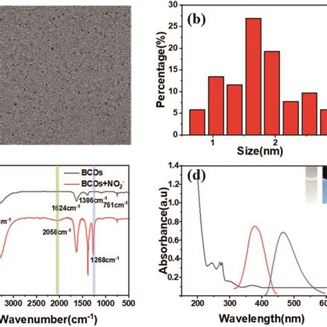 (a) TEM image of BCD (60 μg mL⁻¹). (b) Size distribution of BCD. (c ...