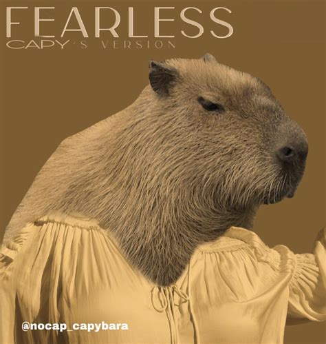 Capybara Taylor Swift Album Covers Rcapybara