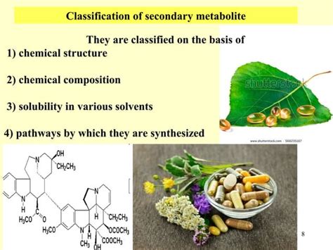Current Approaches Toward Production Of Secondary Plant Metabolites Ppt