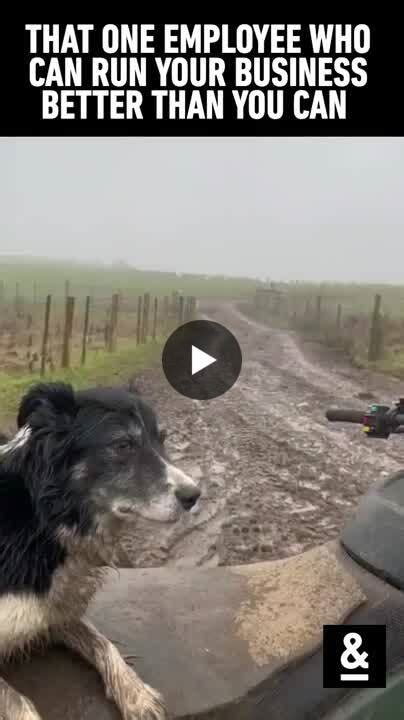 Enabling The Employees And Trust Them And Those Experts Will Run The… Dr Wolfgang Pitsch