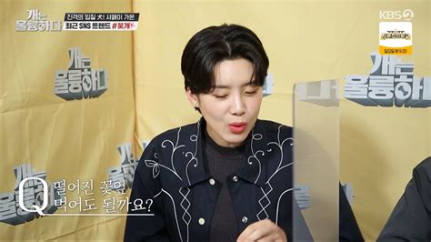 개는 훌륭하다 장도연 강형욱에 질문 요즘 Sns에 꽃개 유행 꽃잎 뜯어먹는 개 괜찮나
