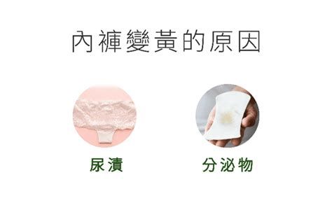 為何內褲總是黃黃的？私密衣物不乾淨恐引發私密危機 莉安娜eliana 解決私密困擾專家｜官方網站