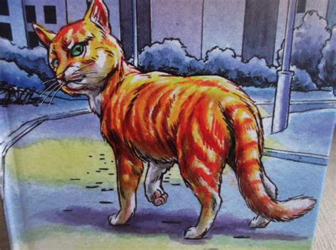 Книга: Возвращение Кота - Юрий Ситников. Купить книгу, читать рецензии ...