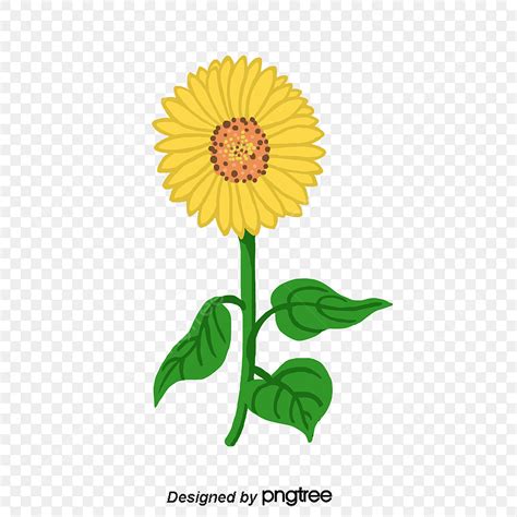 Psd Png