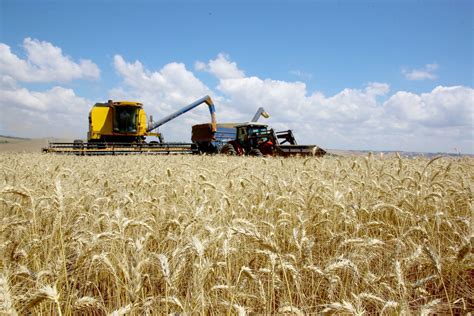 Paraná Lança Programa Para Fomentar Cultivo De Cereais De Inverno