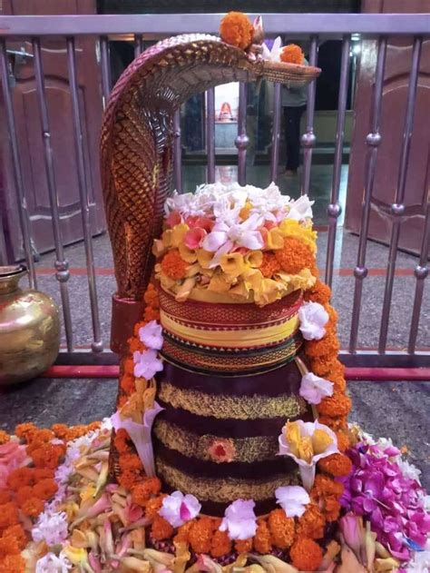Devotees Worshiped Narmadeshwar Mahadev For Public Welfare जनकल्याण