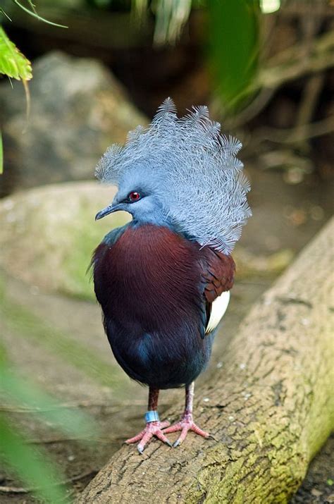 Eileen Rivera Sexto Eileenrvr Profile Pinterest