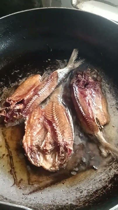 Pritong Bulad Shortvideo Shortviral Buladasmr Youtube