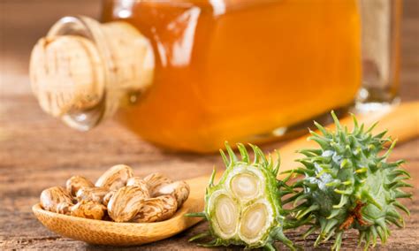 Lhuile De Ricin Pour Les Cheveux HairBack Clinic