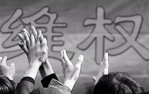 45天，死了约800只鸡！损失8万！工商局介入，最终获赔2万！