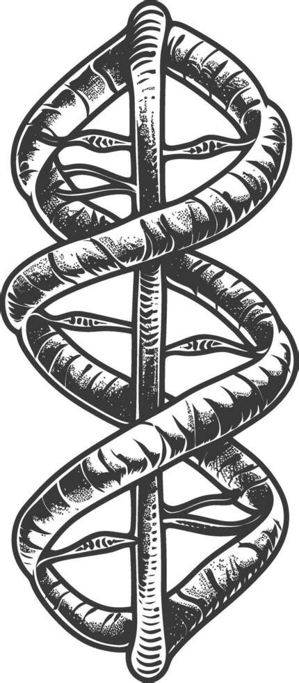 Gene Dna Mutation Symbol With Engraving Style Black Color Only 46012128 Vector Art At Vecteezy