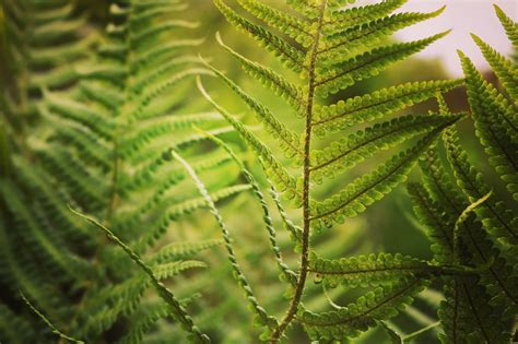 Surg0129 Neuromodulation Pain Management Msc Reflective Blog