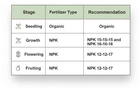 Choosing The Right Fertilizer For Each Plant Growth Stage