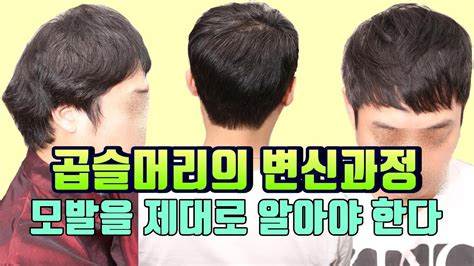 지저분한 곱슬머리의 변신과정 모발을 제대로 알아야 한다 Youtube