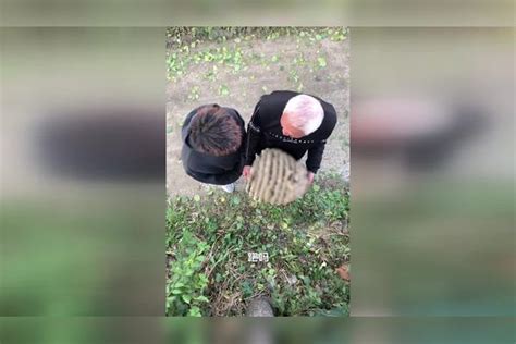 叔侄打栗子弄下一只马蜂窝，大叔直接被吓得尿裤子了