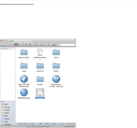 Spss Mac License Lenagig