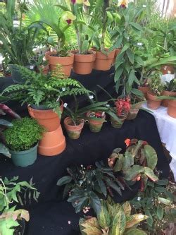 Oddsexual Tumblr Com Post 119038315686 Porn Photo Pics