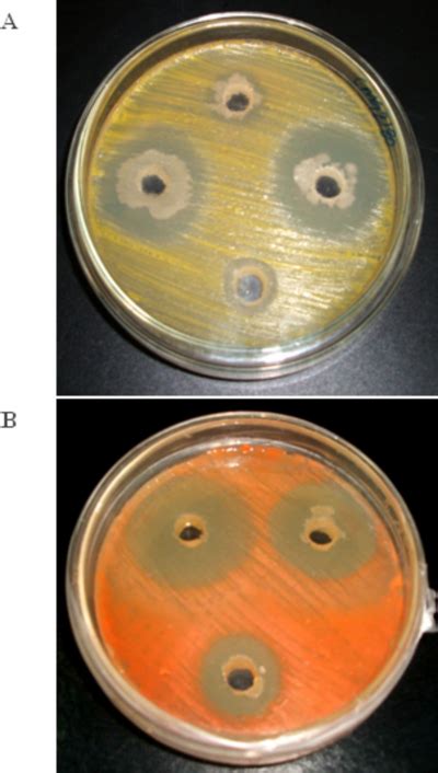 Internet Scientific Publications