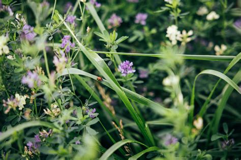 Agricultural Biodiversity Solutions Baltic Sea Action Group