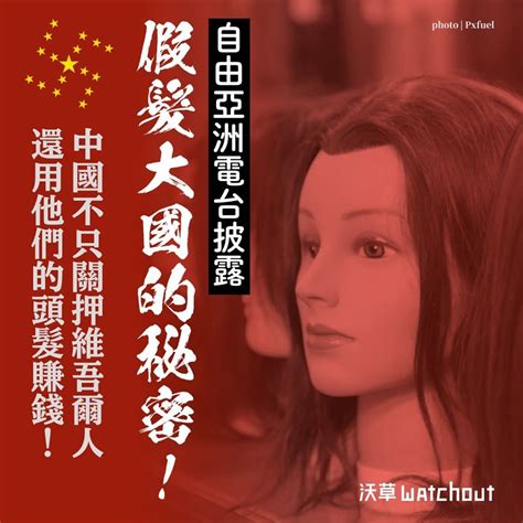 夢の続き．fe 沃草 Watchout 中國每年賣給全世界的毛髮製品總額達 60 億美金！但你知道這些毛髮是哪來的嗎？《自由亞洲電台》指出