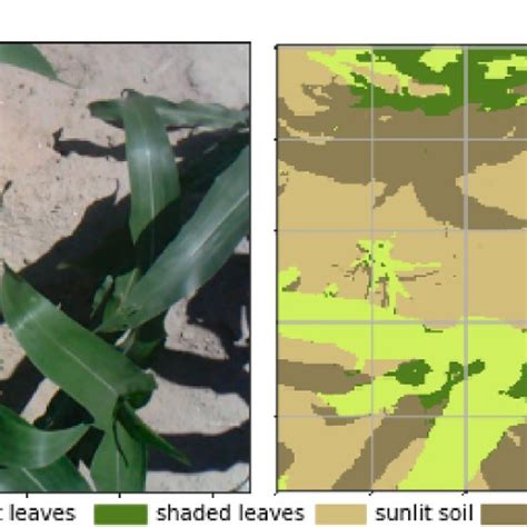 Pdf Simultaneous Measurements Of Corn Leaf Area Index And Mean Tilt Angle From Multi