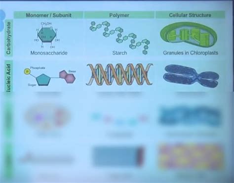 Solution The Classification Of Organic Compunds Studypool