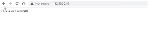 Getting Started With NSX ALB Part 4 Load Balancer In Action