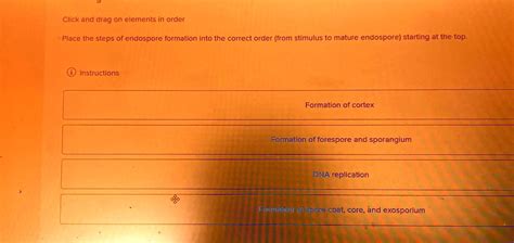 Click And Drag On Elements In Order Place The Steps Of Endospore