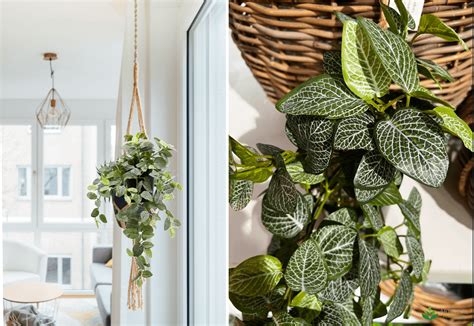 10 Delightful Ways To Style Artificial Hanging Plants Artificial